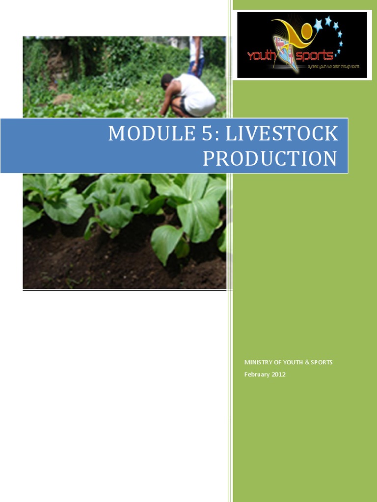 Broiler Production Guide | PDF | Animal Feed | Digestion