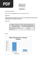 Bio 101 Sample Lab Report | PDF | Active Site | Enzyme