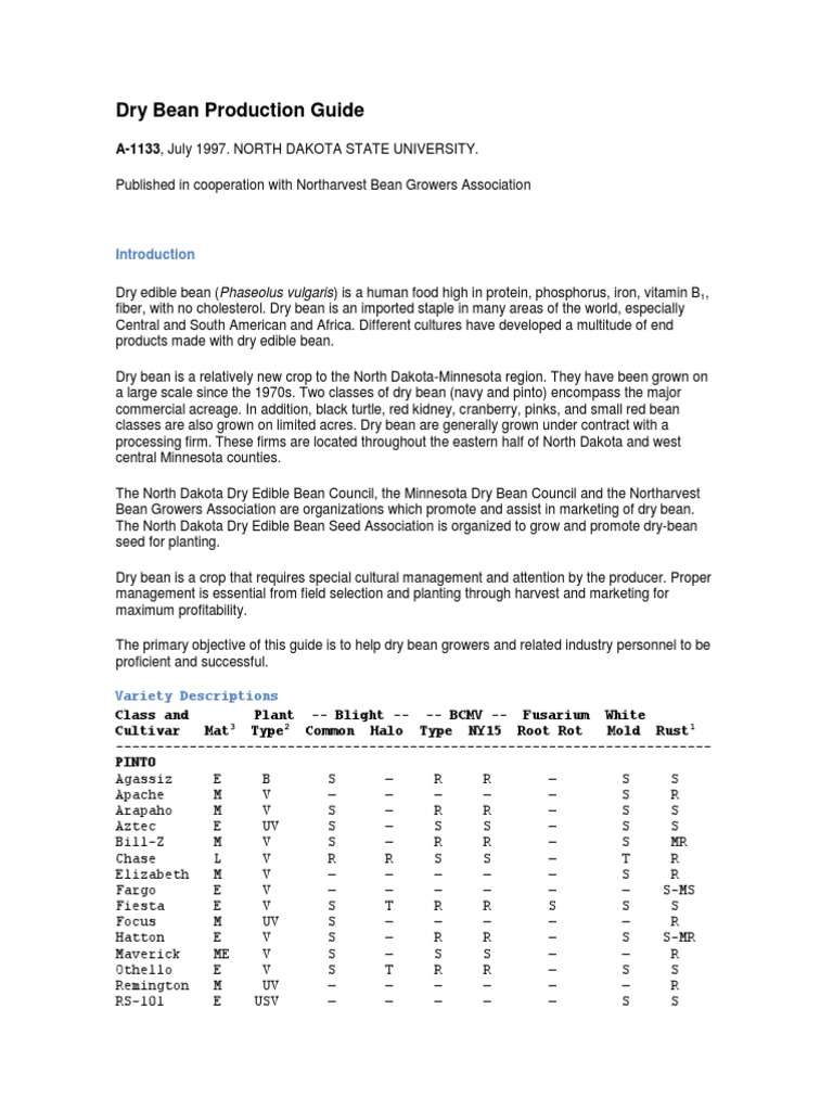 Dry Bean Production Guide PDF | PDF | Phaseolus Vulgaris | Bean