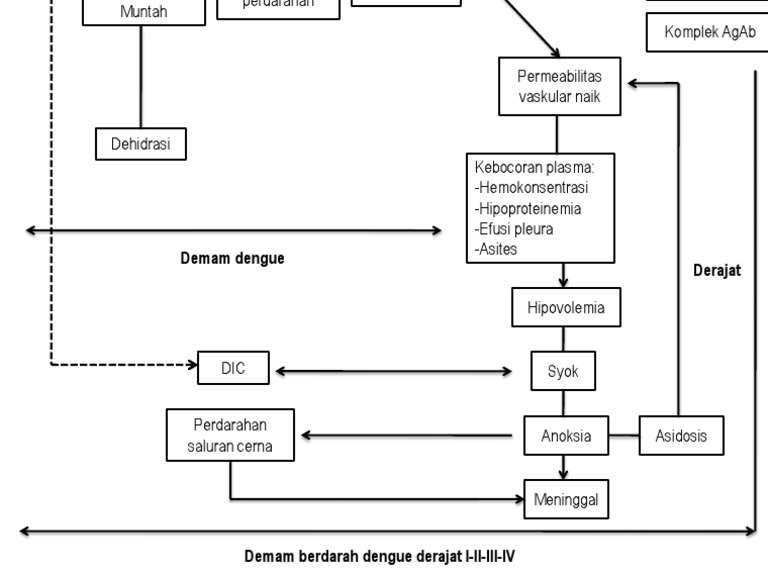 Skema Patofisiologi DBD | PDF