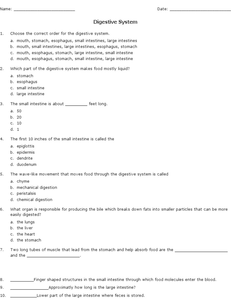 Digestive System Worksheet For Grade 4