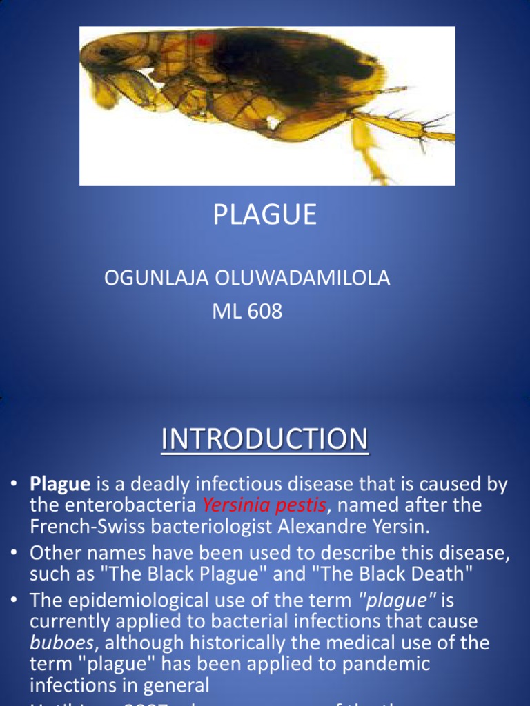 Plague | PDF | Plague (Disease) | Transmission (Medicine)