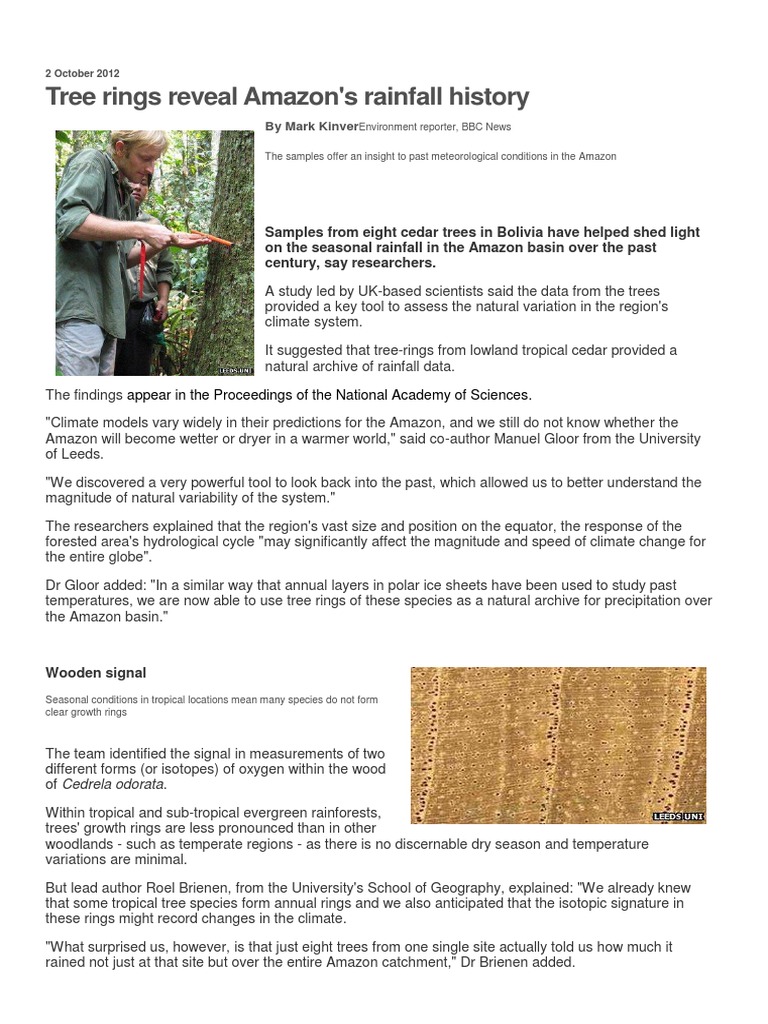 Tree Rings Amazonia Tell Us About The Past | PDF | Amazon Rainforest ...