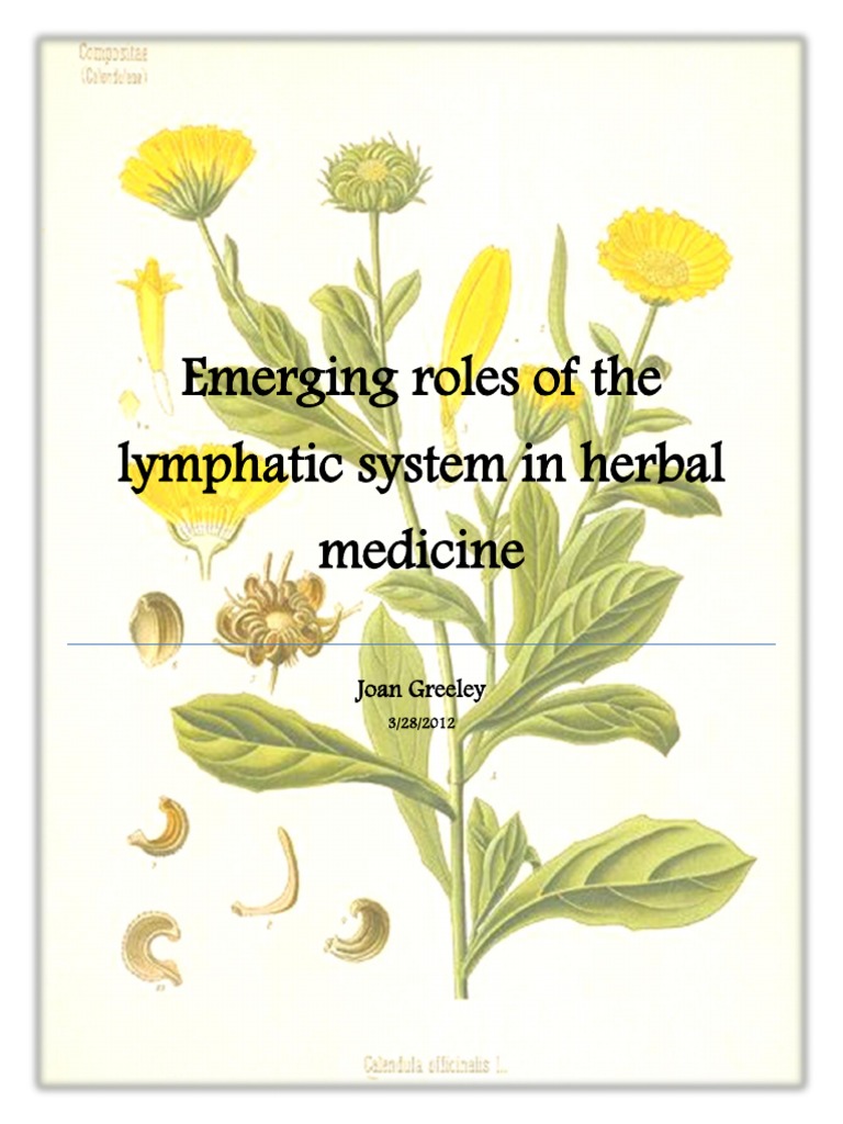 Emerging Roles of the Lymphatic System in Herbal Medicine | Lymphatic ...