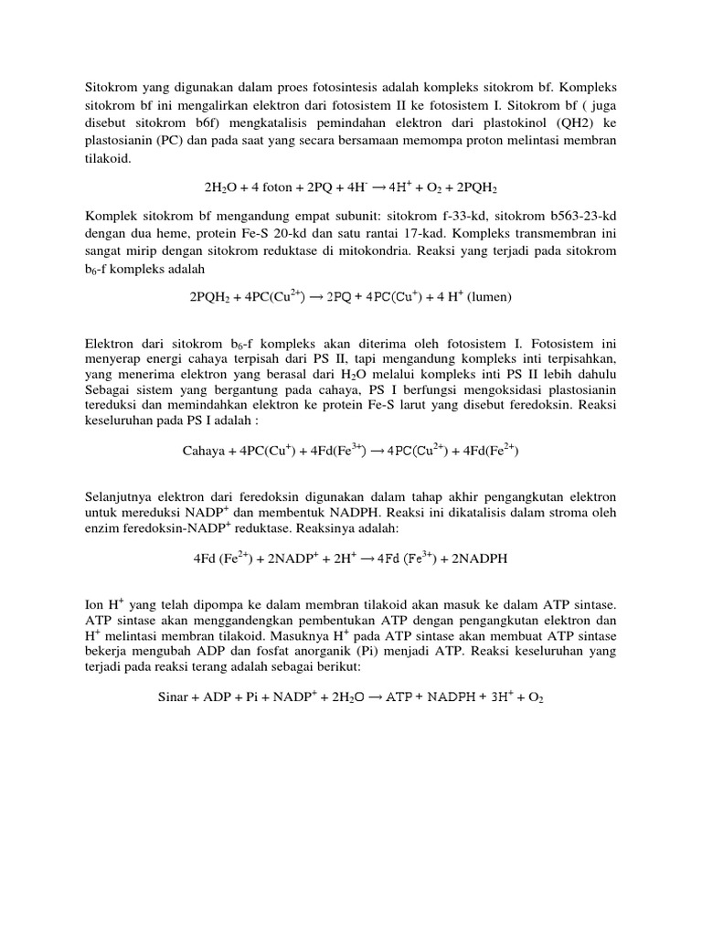 Sitokrom Yang Digunakan Dalam Proes Fotosintesis Adalah Kompleks ...