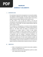 Cultivo Axénico | PDF