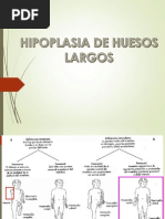 Tróclea - Qué Es, Significado, Ubicación, Función y Lesiones | PDF ...