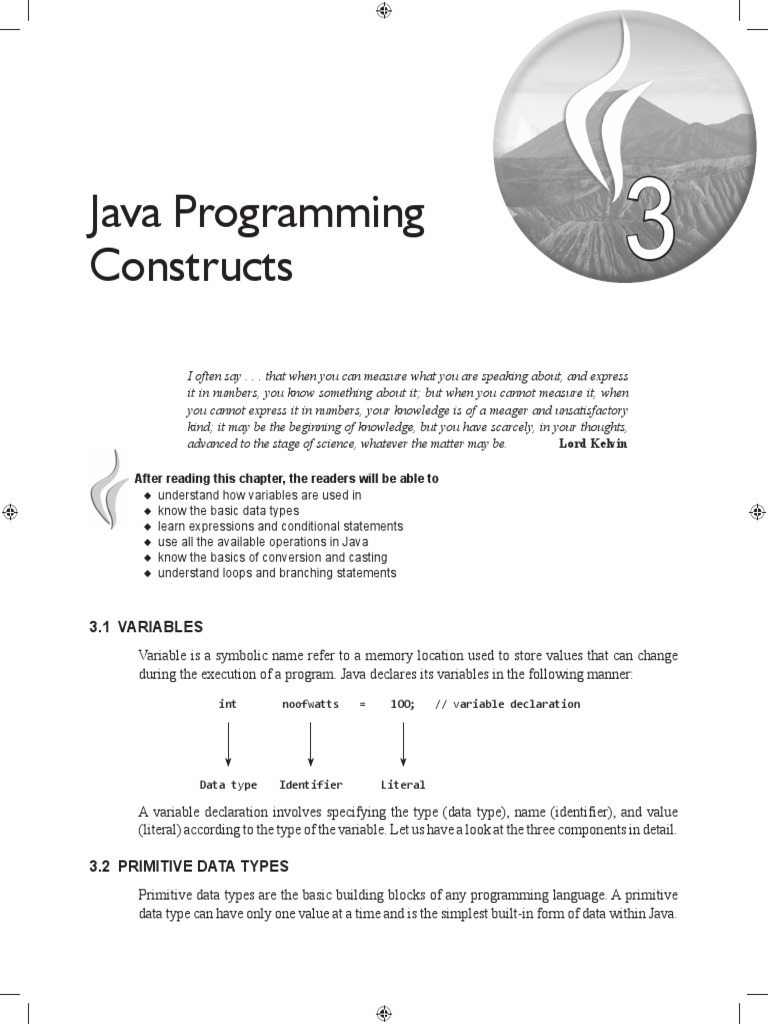 Java Programming Constructs | PDF | Data Type | Integer (Computer Science)