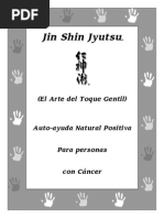 JIN SHIN JYUTSU Apertura 26 Cierres de Seguridad | PDF | Violencia | Agitación