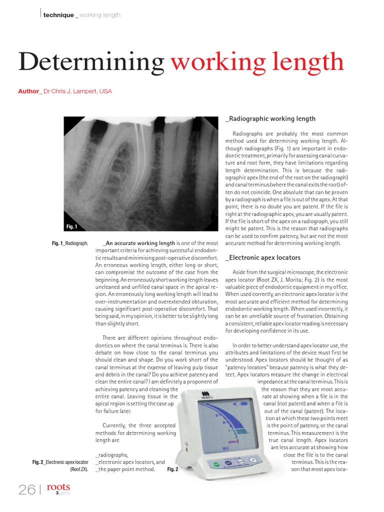 Accurate Endodontic Working Length Techniques | PDF | Mouth | Health ...