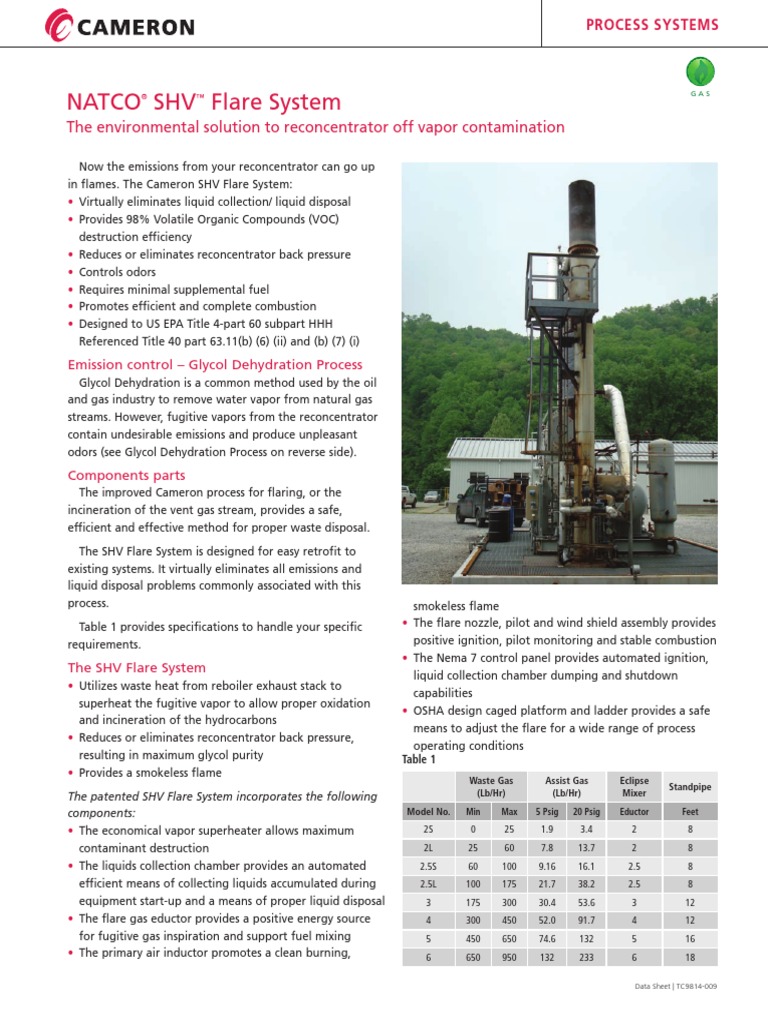 SHV Flare System Data Sheet | PDF | Natural Gas | Volatile Organic Compound