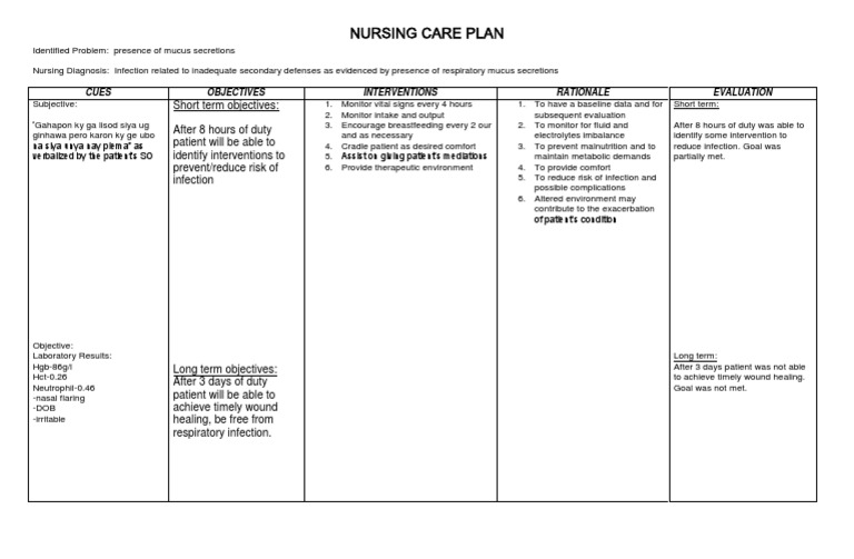 Nursing Care Plan: Cues Objectives Interventions Rationale Evaluation | PDF