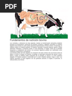 Metabolismo Animal | PDF | Metabolismo | Digestión