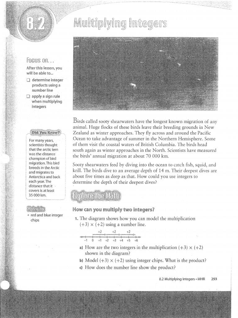 Multiplying Integers - Worksheet2 | PDF | Foreign Language Studies