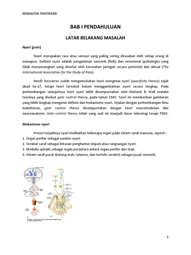 Modalitas Fisioterapi - Ana Ilmanian | PDF | Sains & Matematika