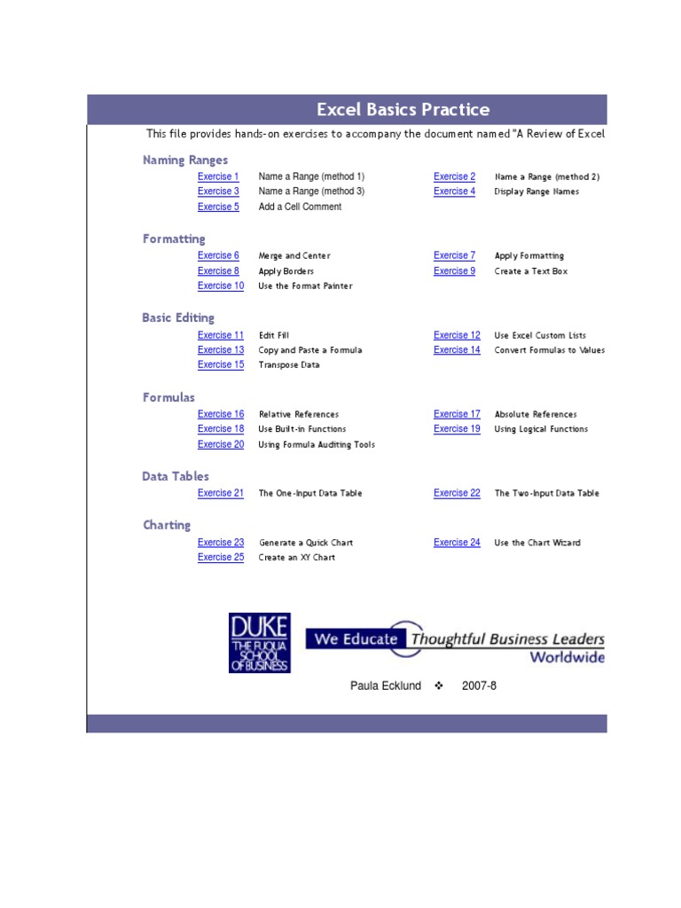 Basics Practice | PDF | Microsoft Excel | Computing