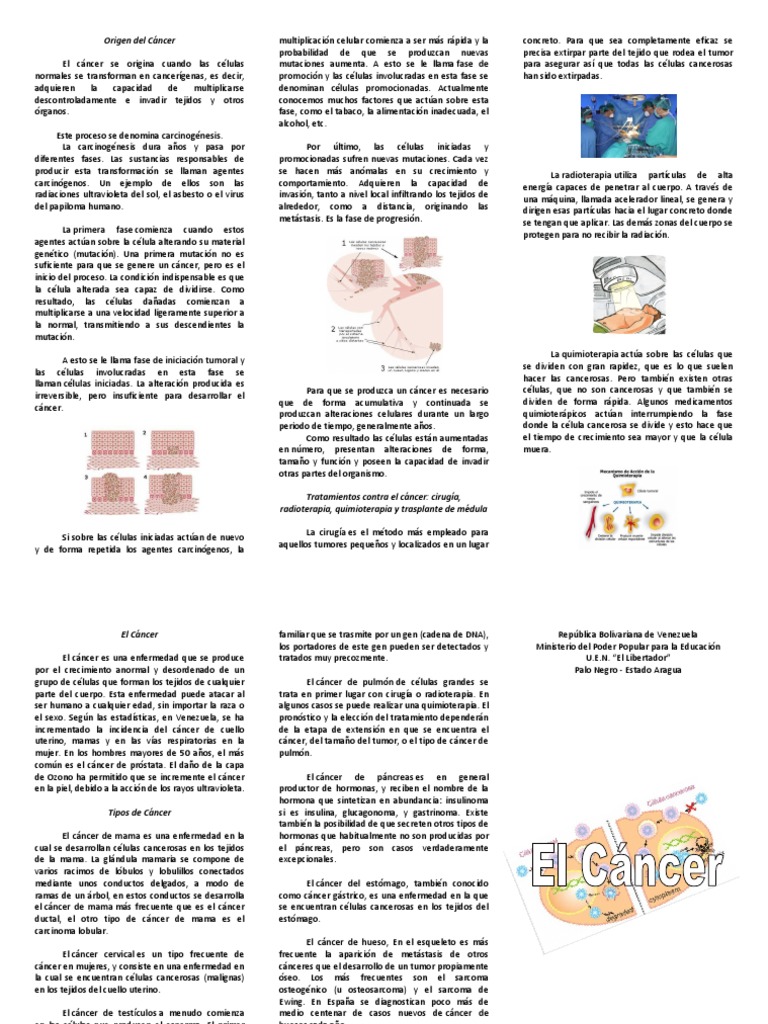 Triptico EL Cancer.docx | Carcinogénesis | Cáncer