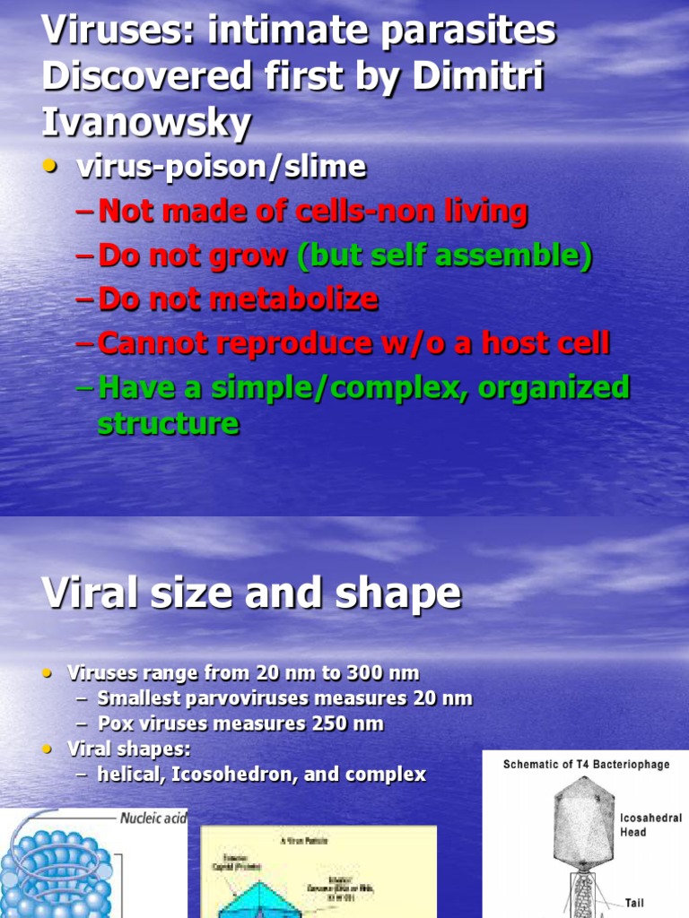 Structure and Characteristics of Viruses | PDF