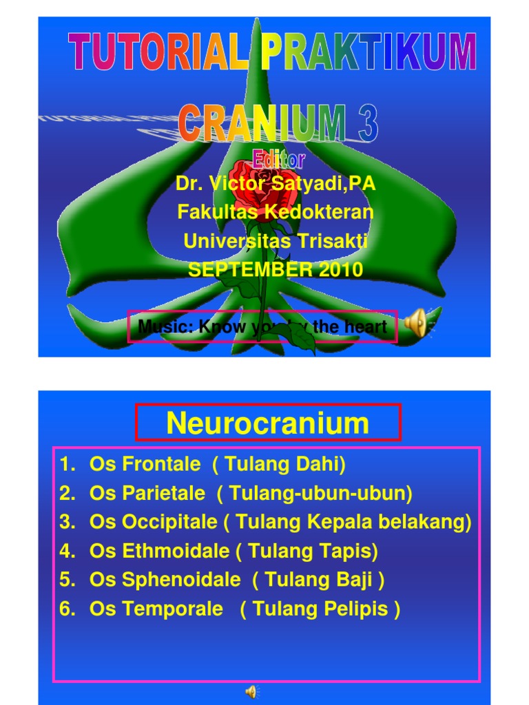 PDF Tutorial Praktikum Cranium 9 2010 | PDF