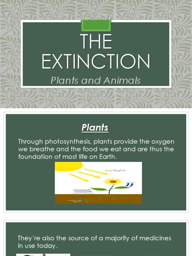 THE Extinction: Plants and Animals | PDF | Extinction | Habitat