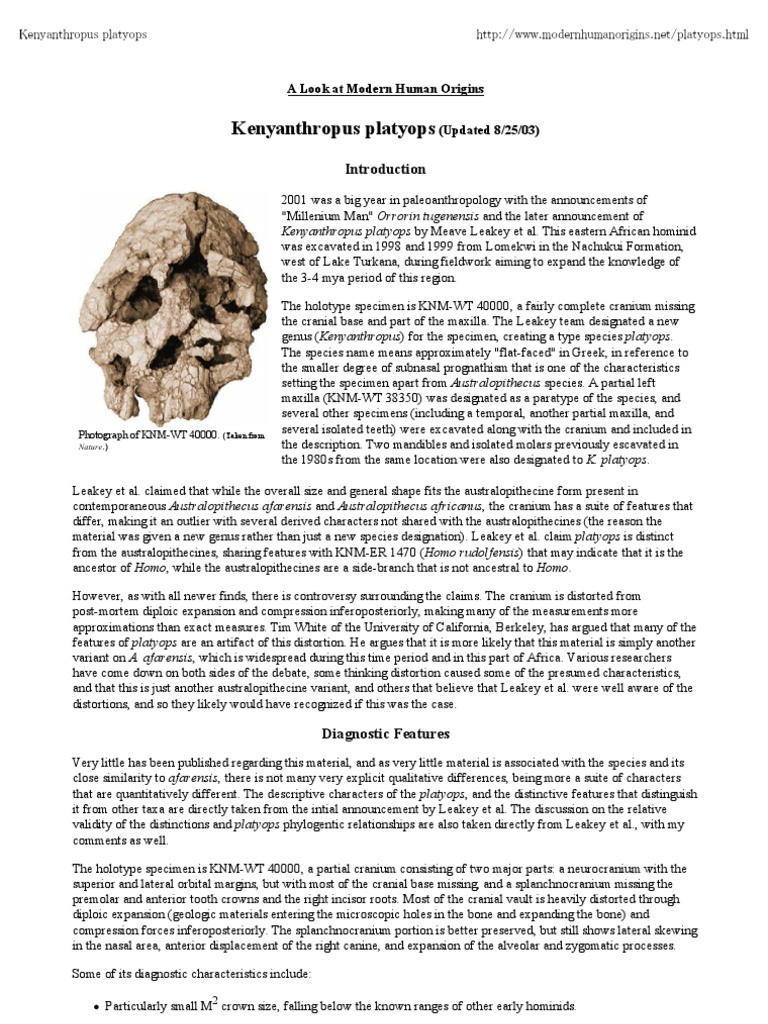 Kenyanthropus Platyops | PDF | Pliocene | Paleoanthropology