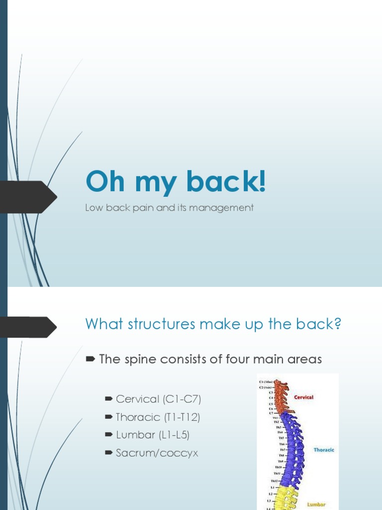 Oh My Back!: Low Back Pain and Its Management | PDF | Low Back Pain ...