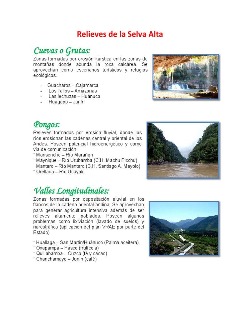 Relieves de la Selva Alta y Baja Peruana | PDF