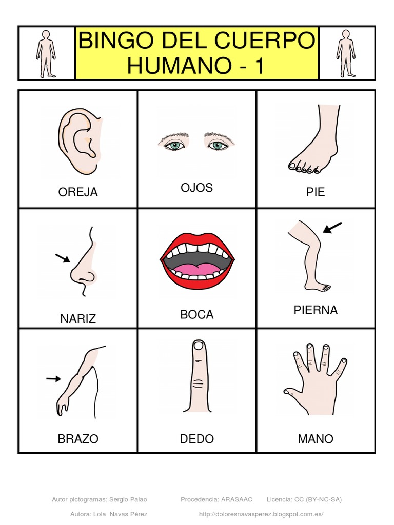Bingo Pictos El Cuerpo CLASIF PDF - vitrinedossonhos.com.br