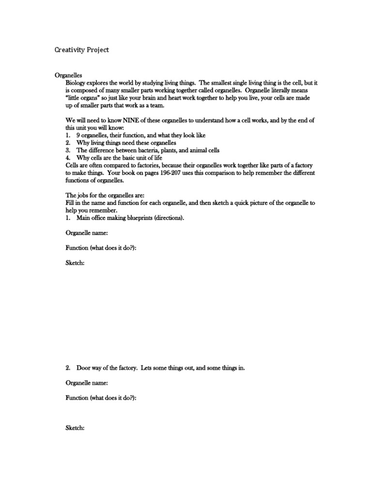 Creativity Project Cells | PDF | Organelle | Cell (Biology)