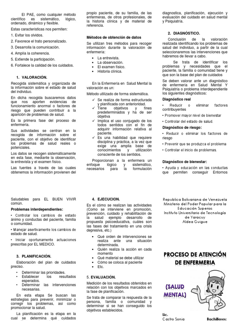 Triptico de PAE Salud Mental | PDF | Enfermería | Cognición
