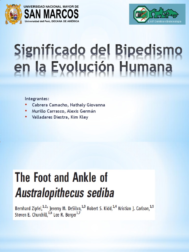 4.significado Del Bipedismo en La Evolución Humana | PDF | Tobillo | Pie