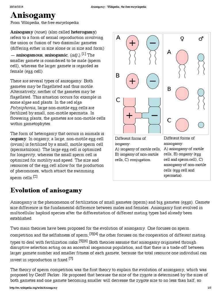 Anisogamy | Sex | Fertility