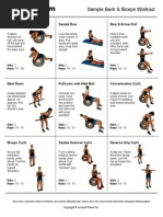 Developmental Stretching | PDF | Human Leg | Anatomical Terms Of Motion