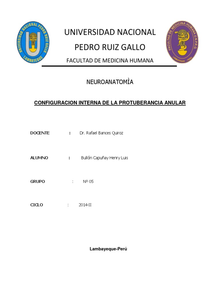Estructura Interna de la Protuberancia Anular | PDF | Cerebelo | Tálamo