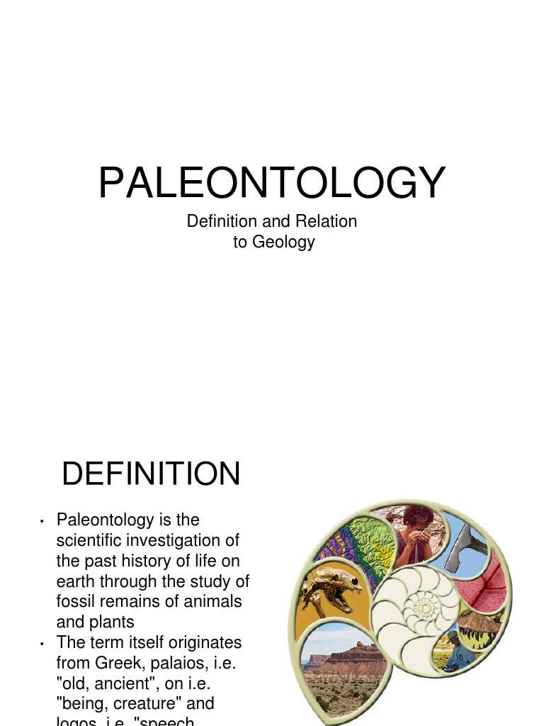 Paleontology: Definition and Relation To Geology | PDF | Science ...