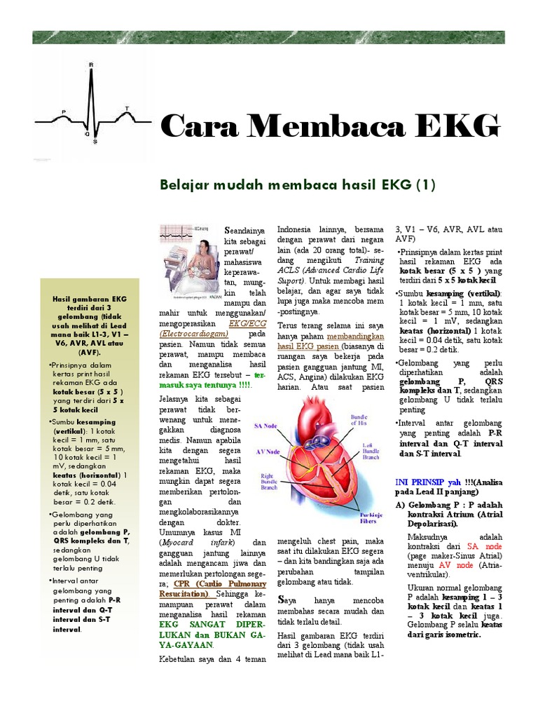 Cara Membaca Ekg PDF | PDF