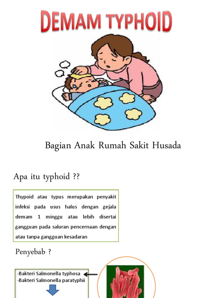 Leaflet Tifoid | PDF