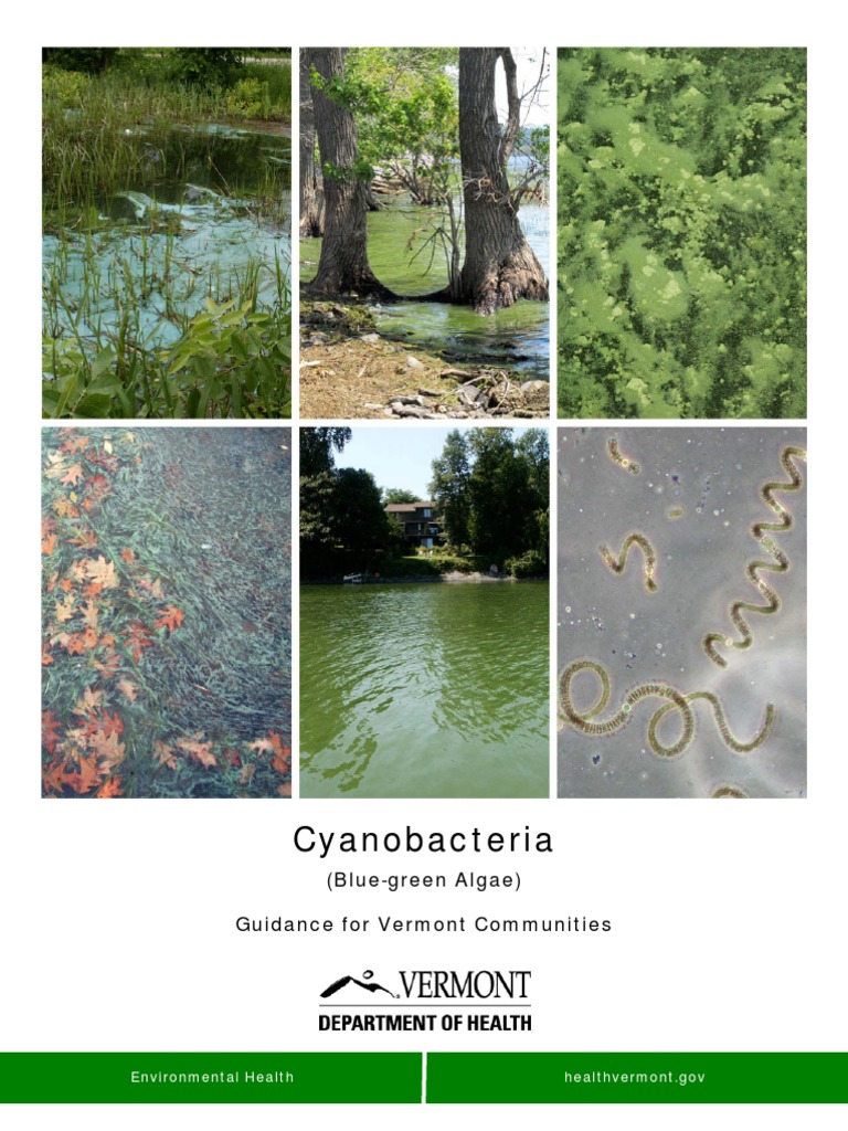 Cyanobacteria (Blue-green Algae) Guidance for Vermont Communities | PDF ...