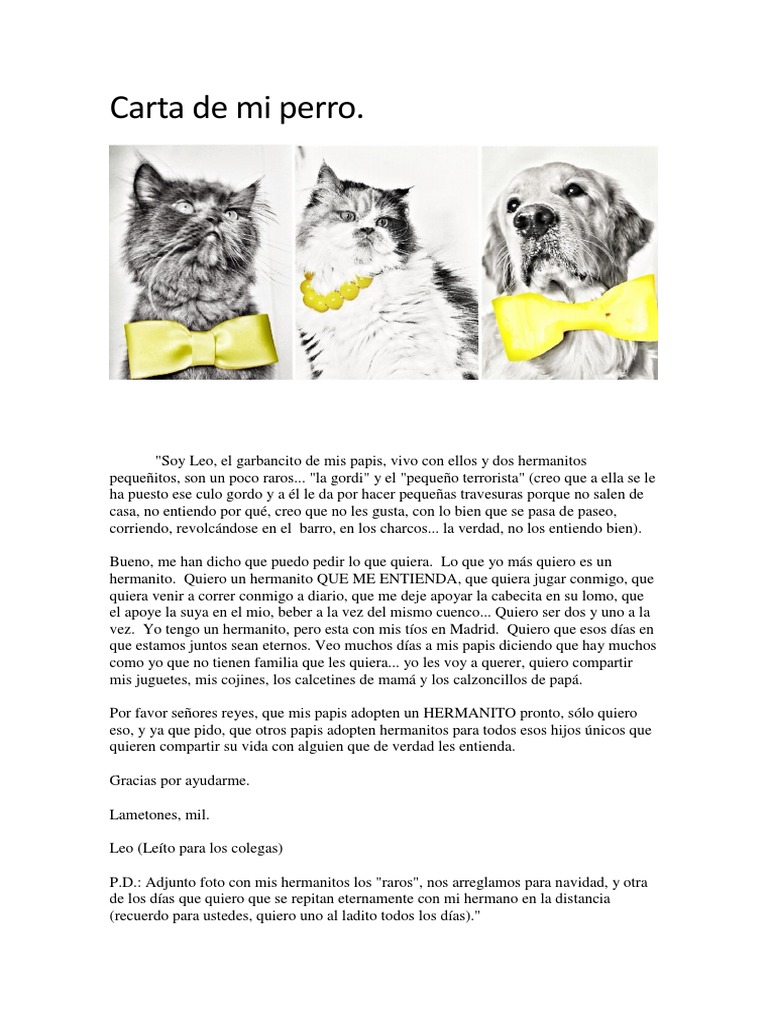 Carta de un perro buscando hermanito | PDF