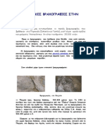 ΕΚΘΕΜΑΤΑ ΜΟΥΣΕΙΟΥ ΒΕΡΓΙΝΑΣ -ΕΡΓΑΣΙΑ | PDF
