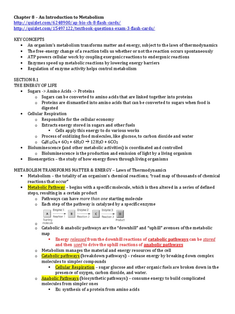 Chapter 8 - An Introduction To Metabolism Notes | PDF | Adenosine ...