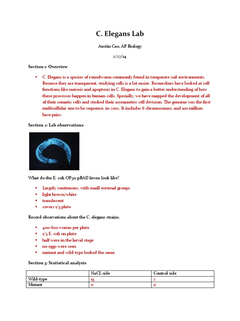 C. Elegans Lab: Austin Cao, AP Biology 2/27/14 | PDF | Genetics | Life Sciences