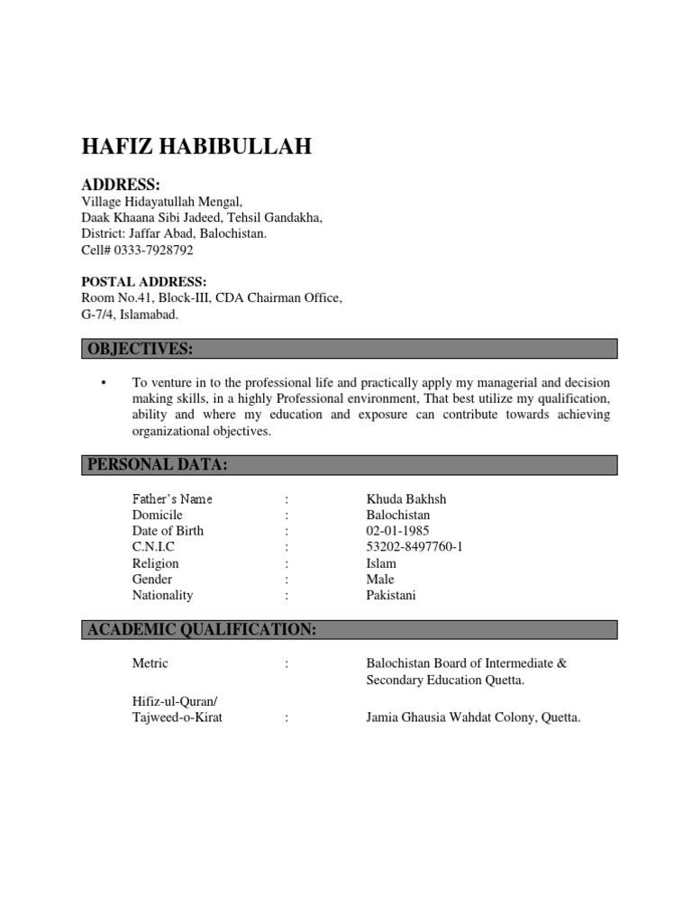 Hafiz Habibullah's Professional Profile | PDF