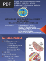 Cápsula de Glisson | PDF | Tejido adiposo | Riñón