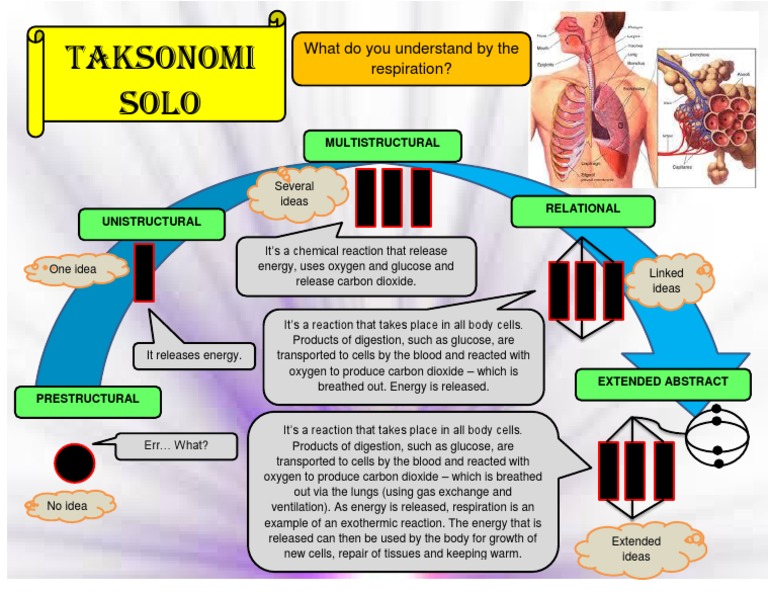 Taksonomi Solo: What Do You Understand by The Respiration? | PDF