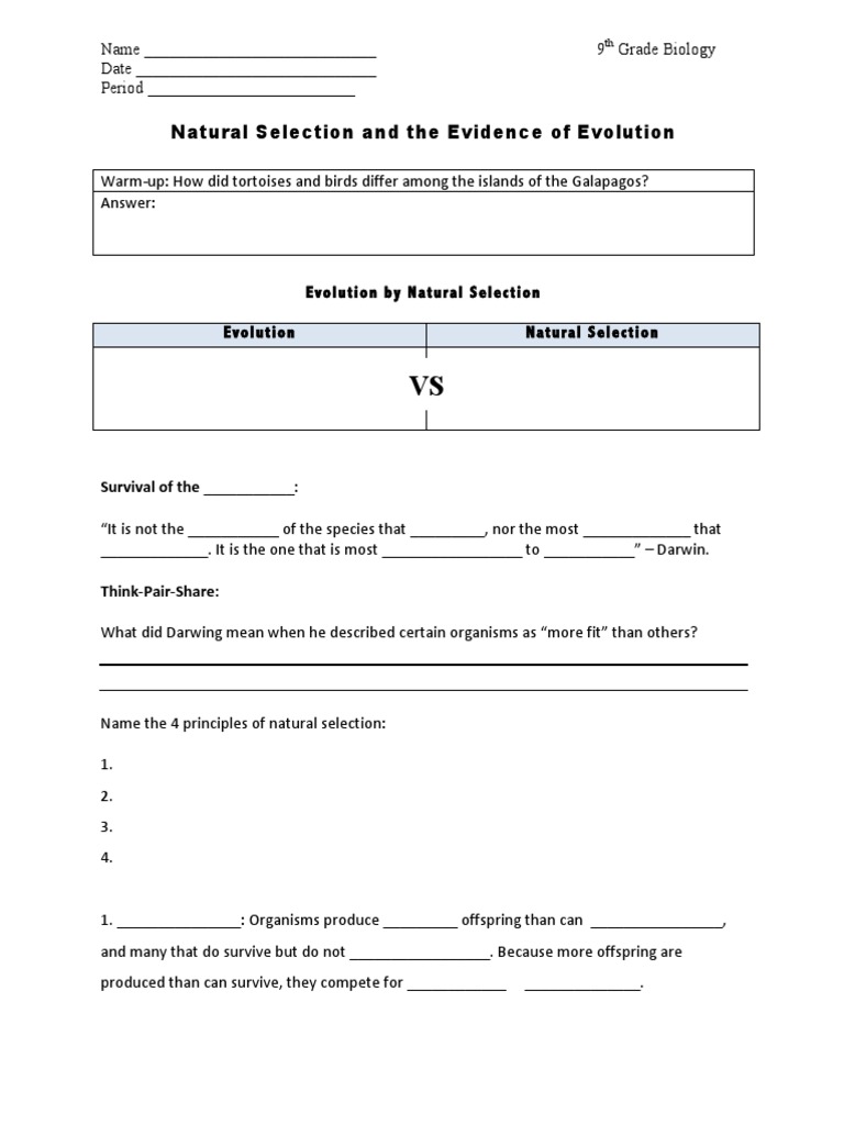 Natural Selection and Evolution Basics | PDF | Career & Growth ...