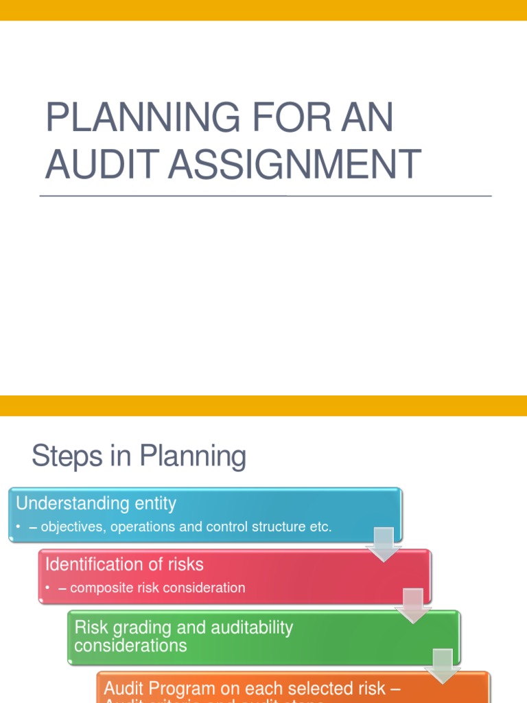 Audit Assignment Planning Performance Audit | Audit | Risk