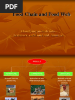 Darwins Finches Differentiated Reading Comprehension - Ver - 1 | PDF ...