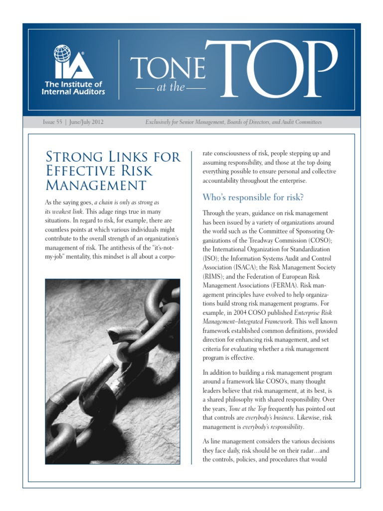 Collaborative Risk Management: Leveraging the Complementary Roles of ...