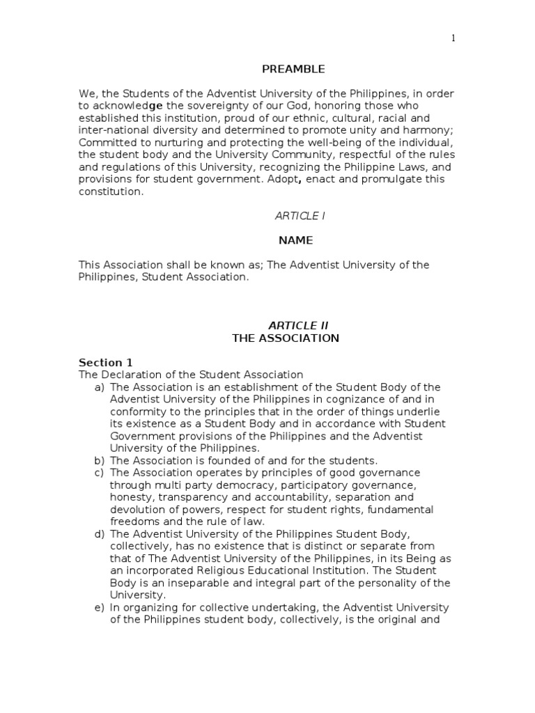 SA Constitution | PDF | Presidents Of The United States | American ...
